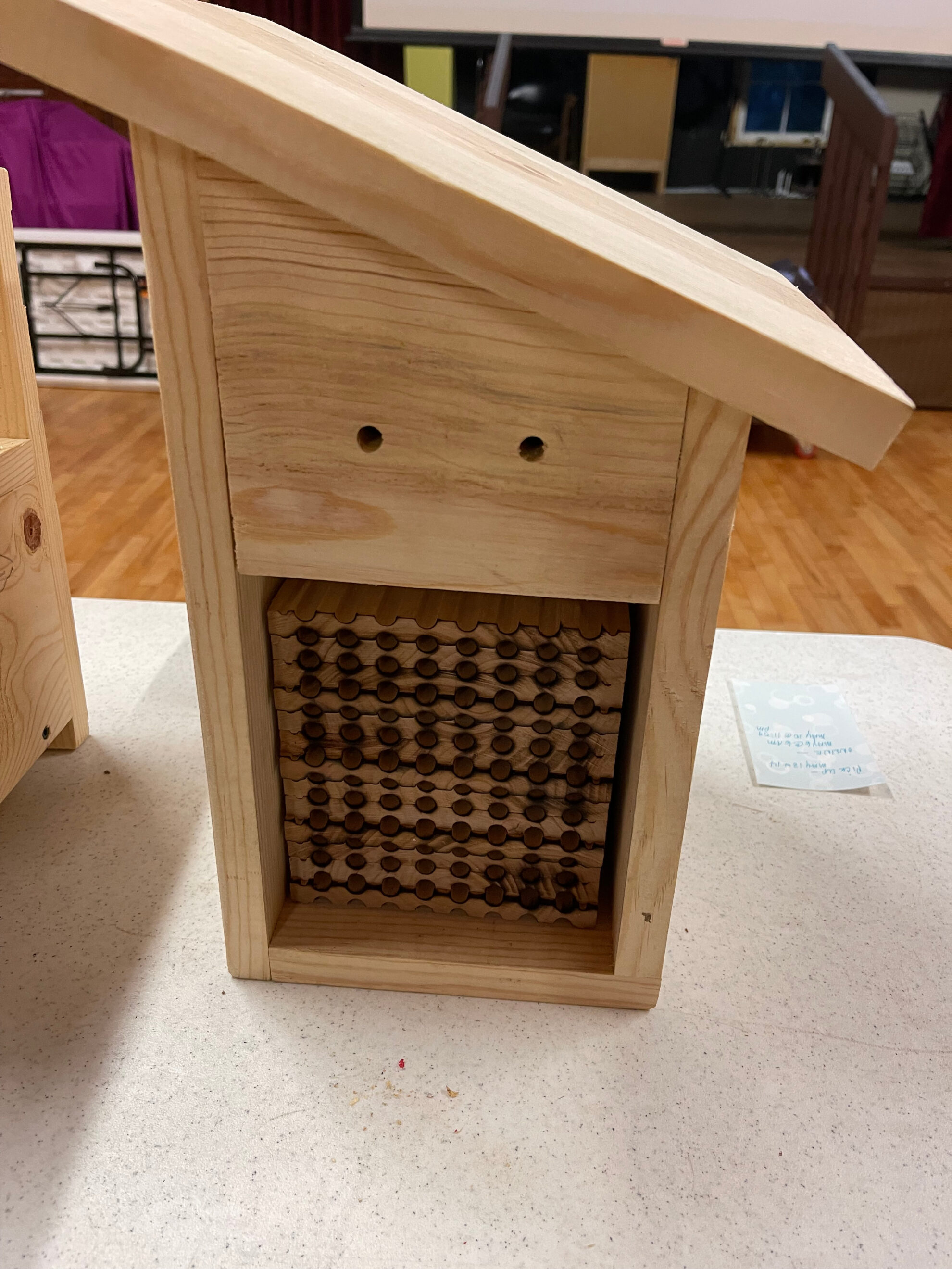 Getting to know your Mason Bees – Harstine Island Community Club